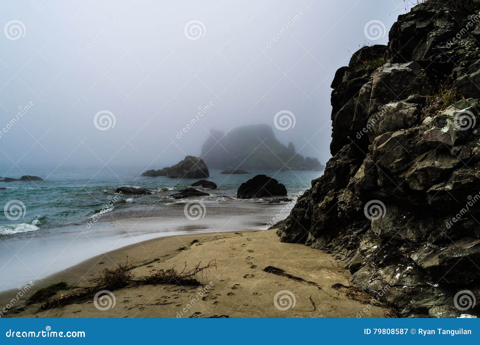 Foggy coast. stock image. Image of scenery, environment - 79808587