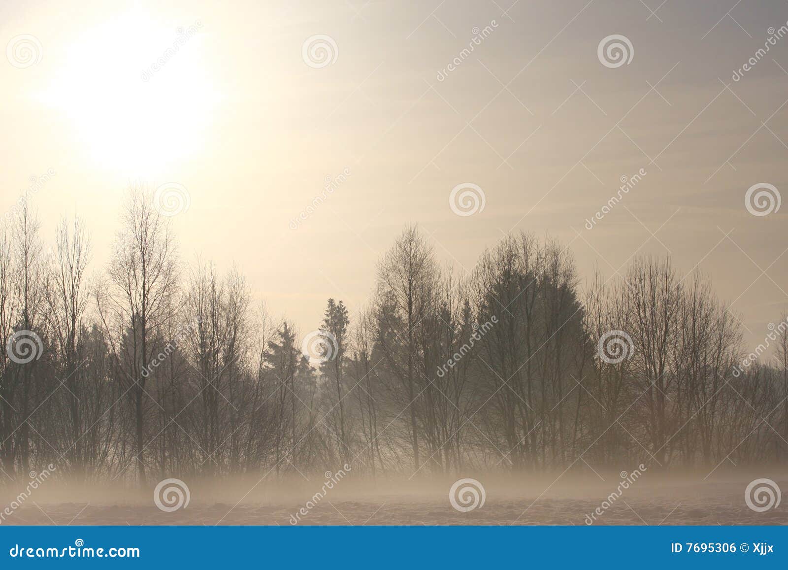 Foggy Countryside Landscape in Winter Stock Photo - Image of climate ...