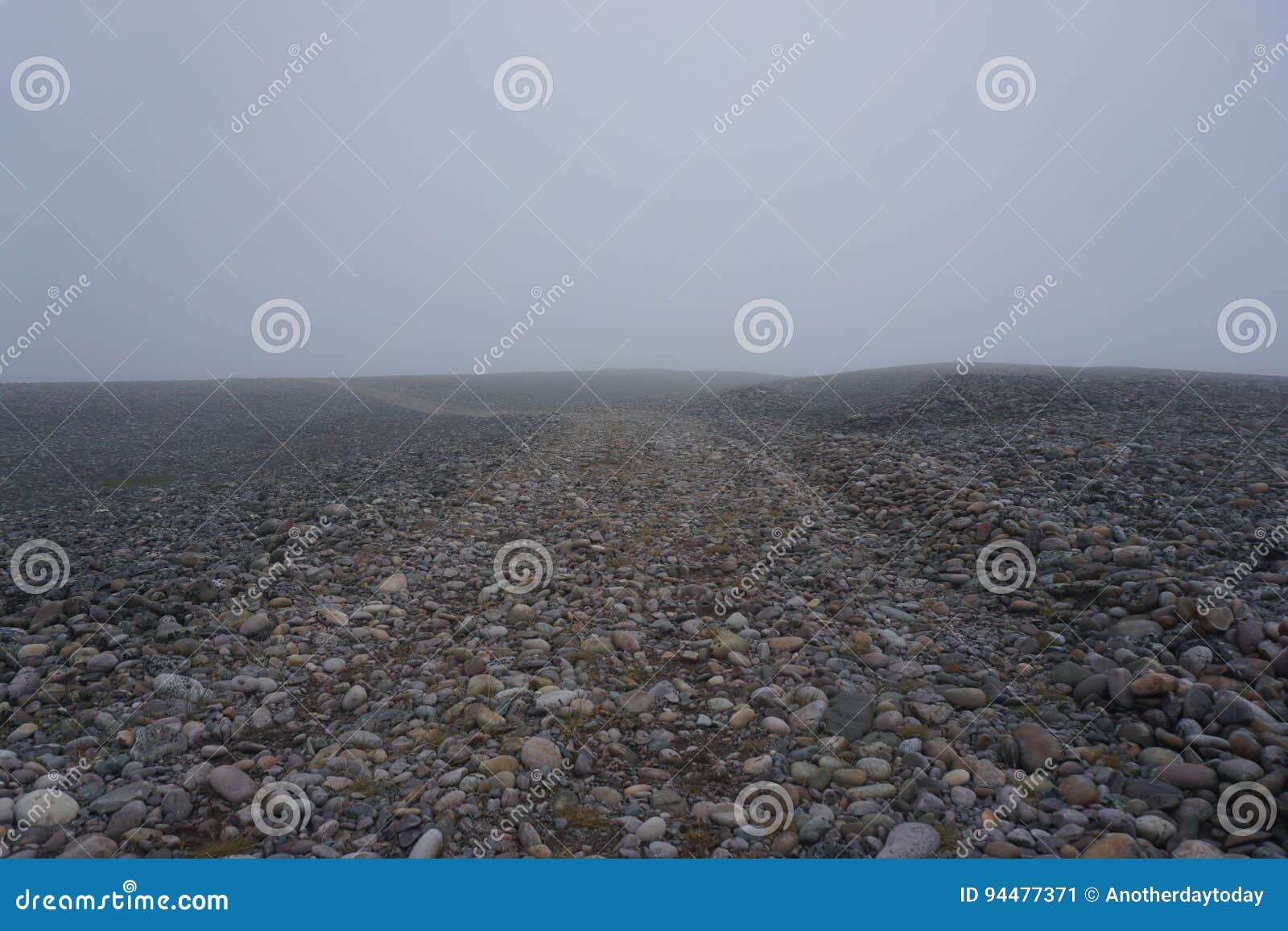 A foggy day stock image. Image of naturephoto, naturephotography - 94477371