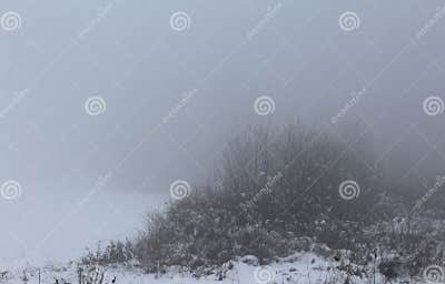 Foggy day stock image. Image of outdoors, snow, cold - 135943037