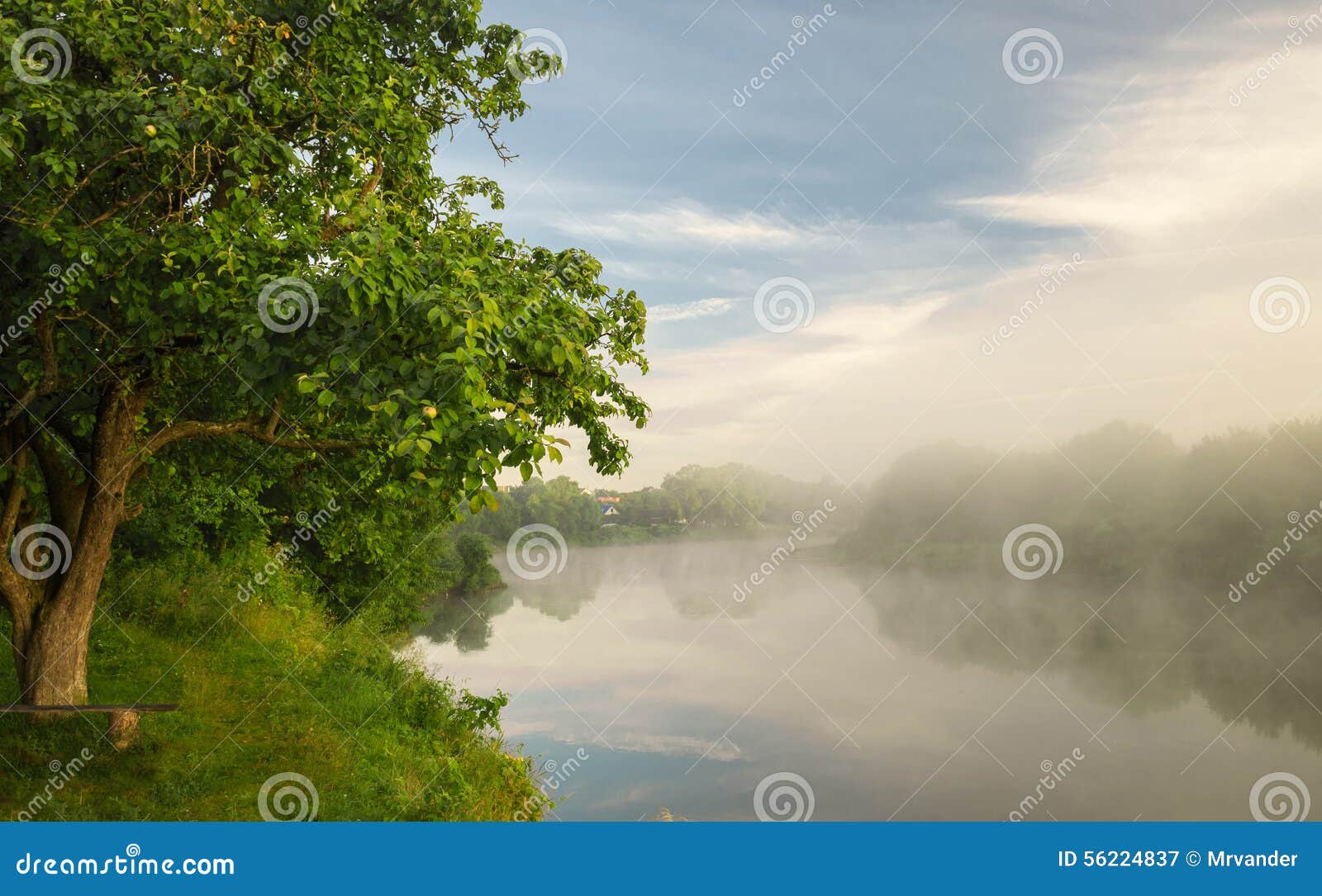 Foggy Early Morning.river Bank Stock Image - Image of early, landscape ...