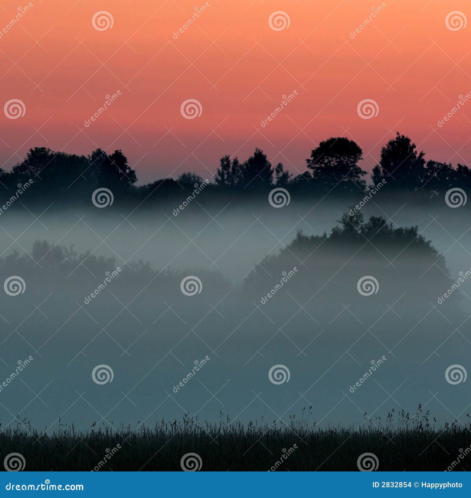 Foggy evening and sunset stock photo. Image of nature - 2832854