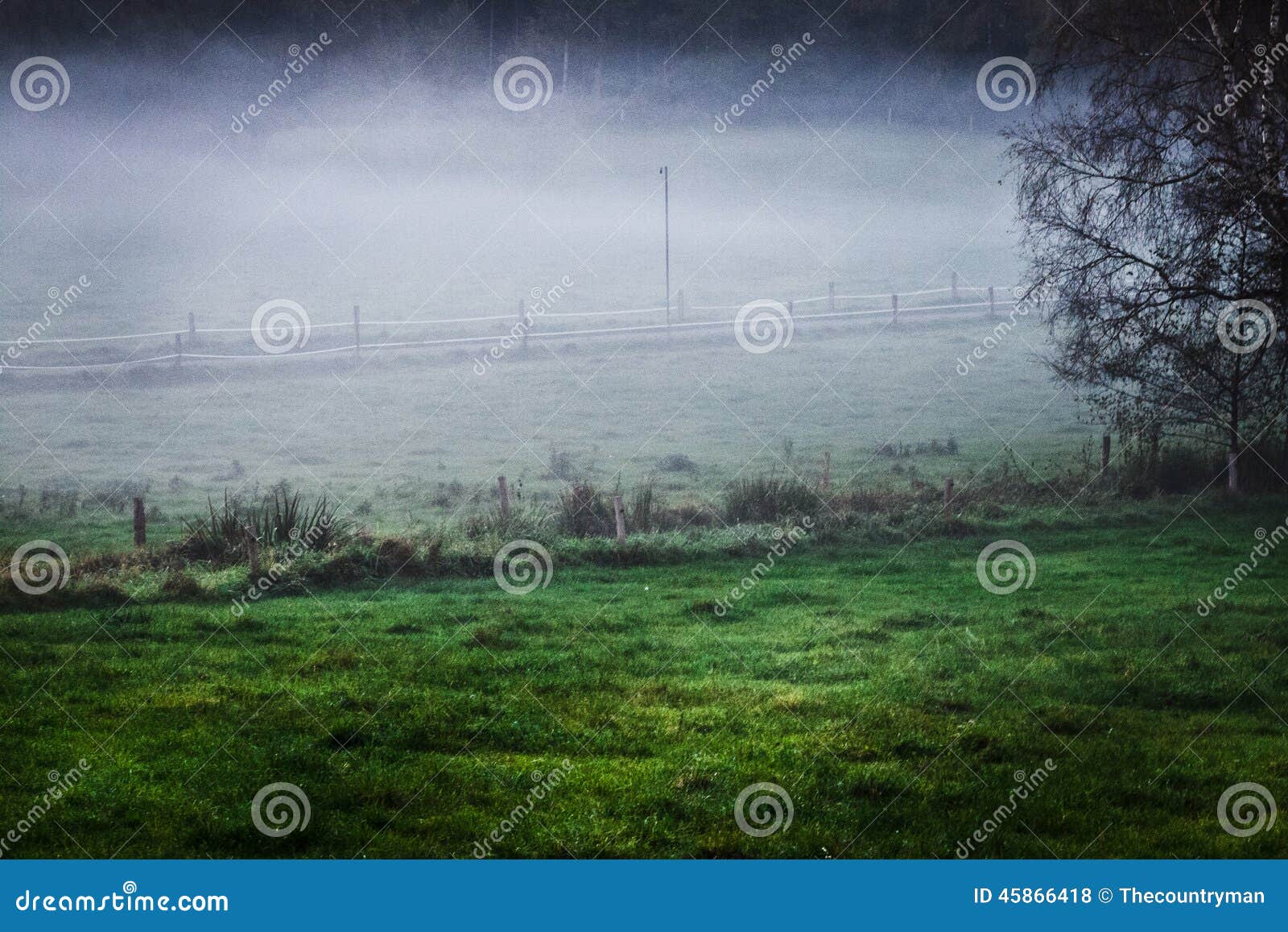 Foggy field stock photo. Image of meadow, haze, environment - 45866418