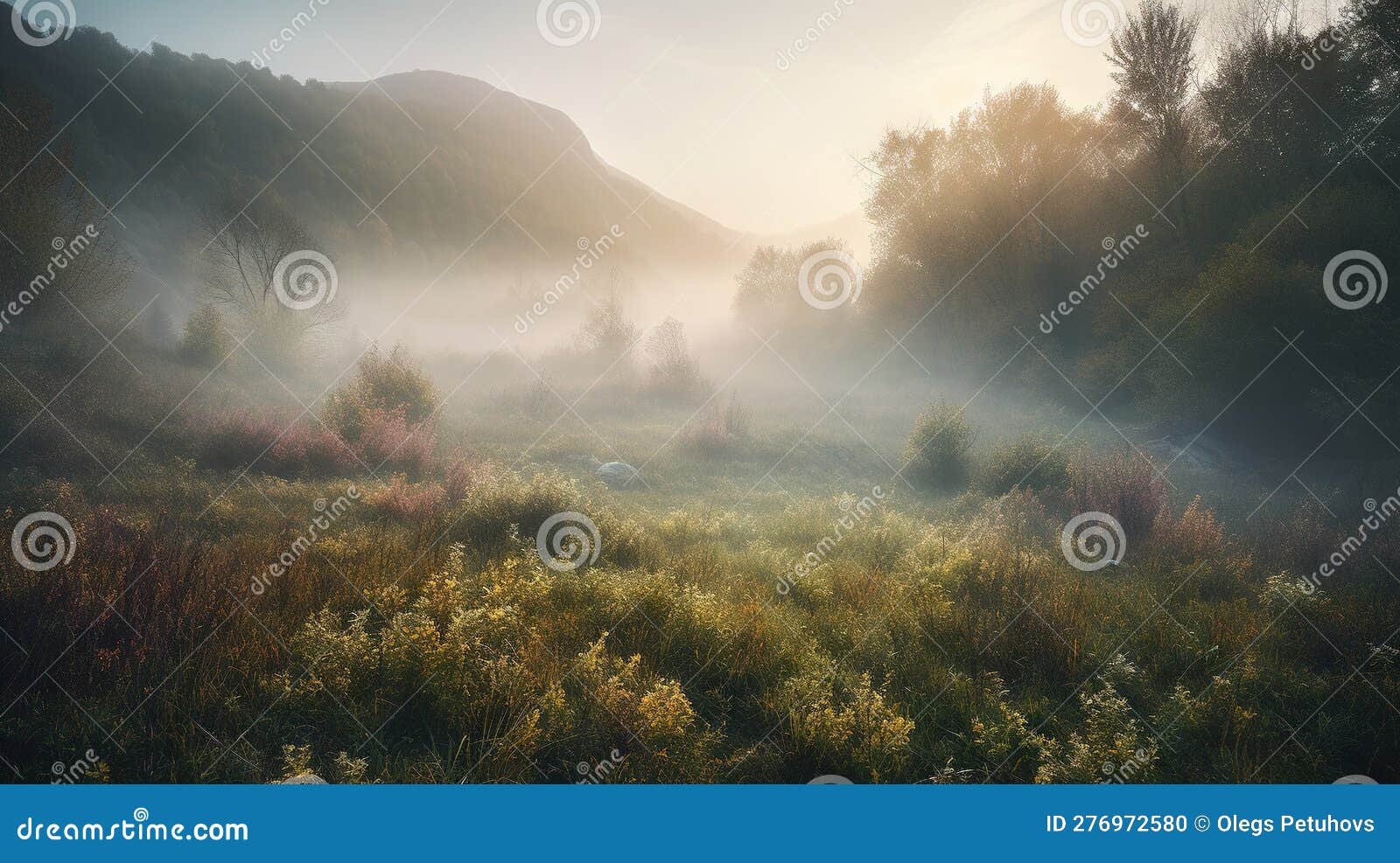 A Foggy Field with Trees and Bushes in the Foreground Stock ...