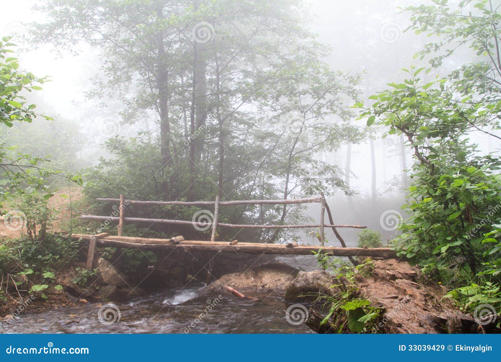 Foggy Forest and Bridge Over Stream Stock Image - Image of natural ...