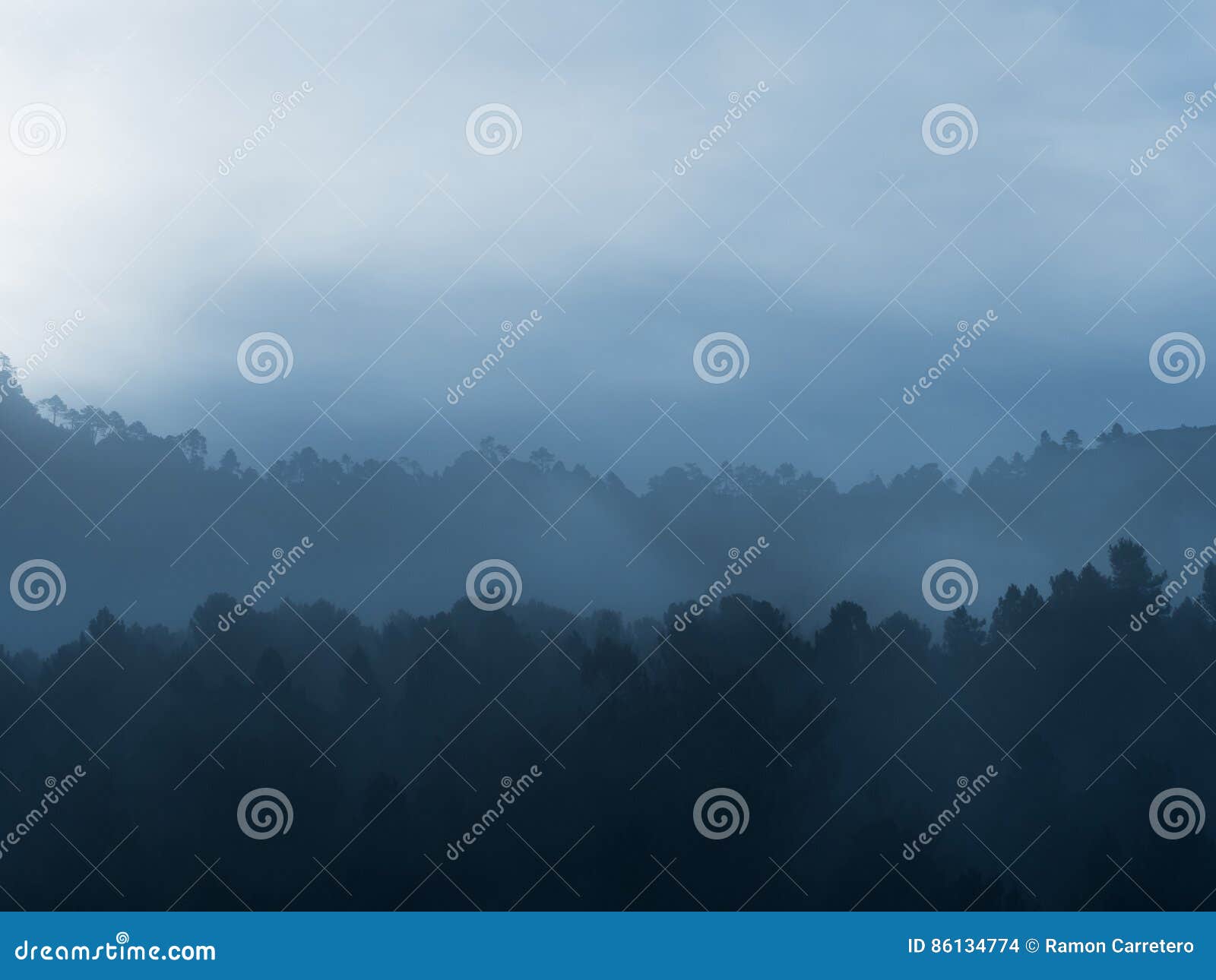 Foggy Forest in the Mountain in the Morning Stock Photo - Image of mist ...