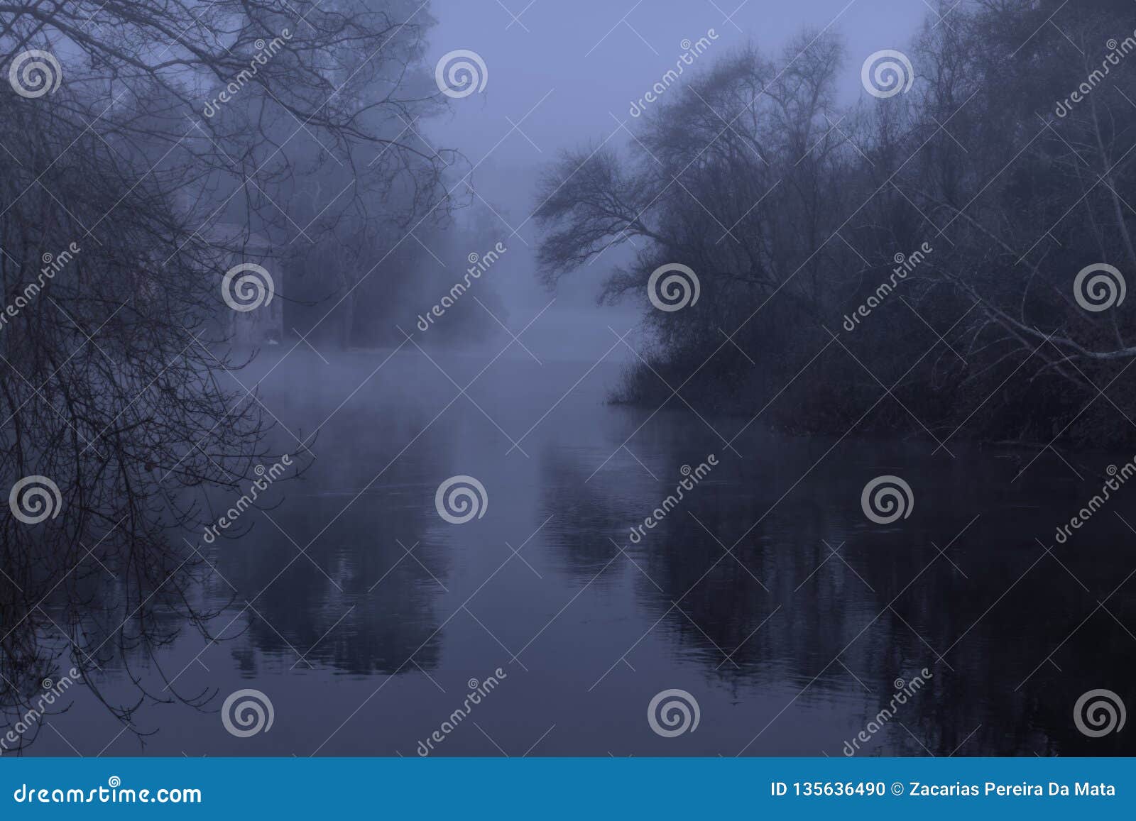 Foggy Forest River at Night Stock Photo - Image of river, mysterious ...