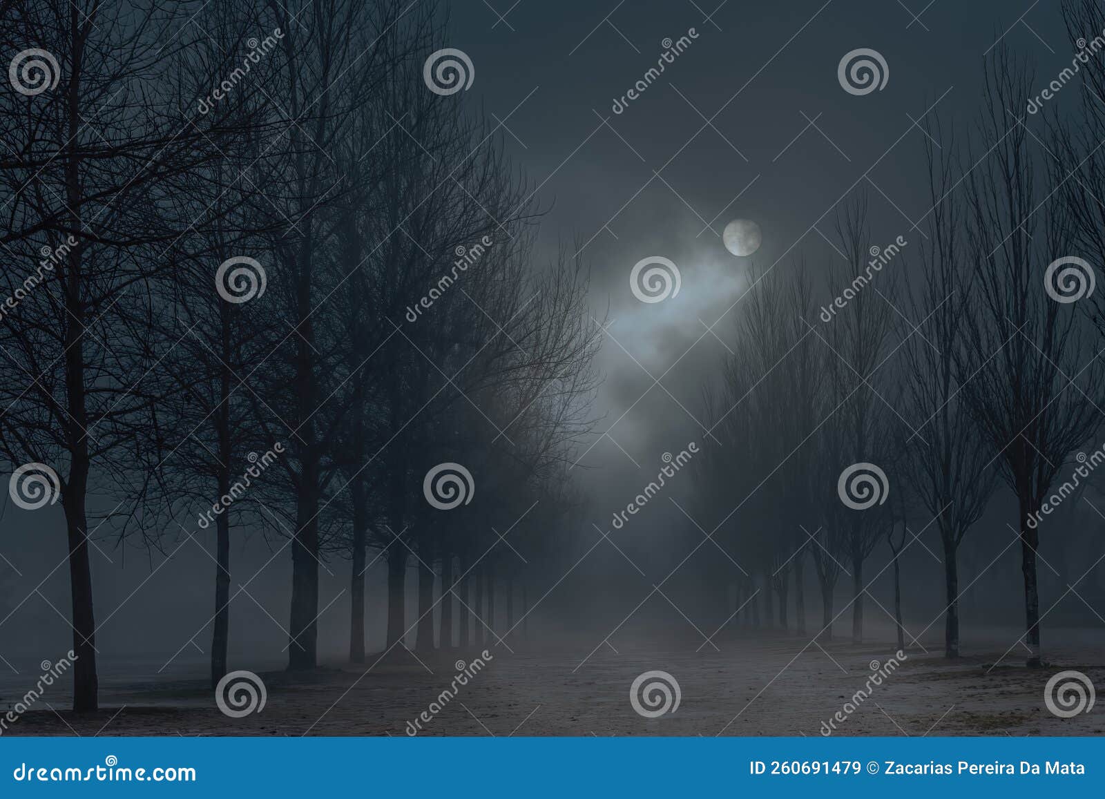 Foggy full moon night stock image. Image of light, natural - 260691479