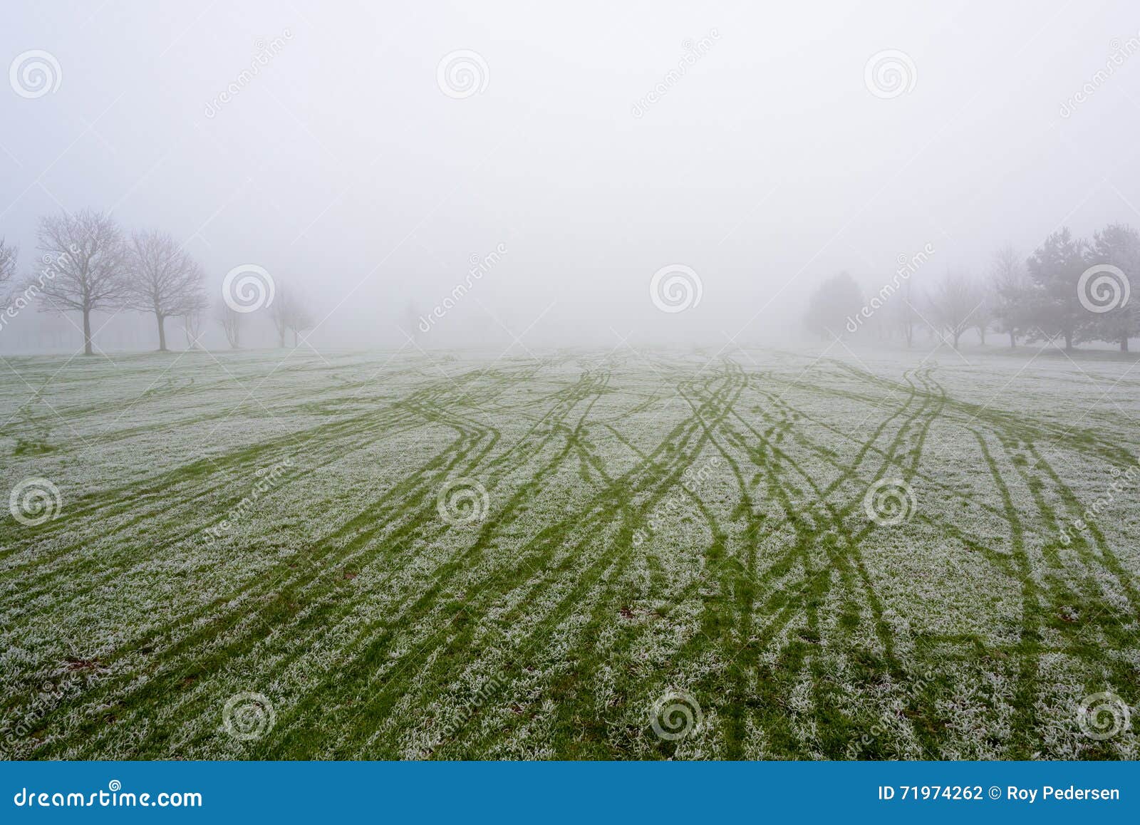 Foggy Golf Course Fairway stock photo. Image of mist - 71974262