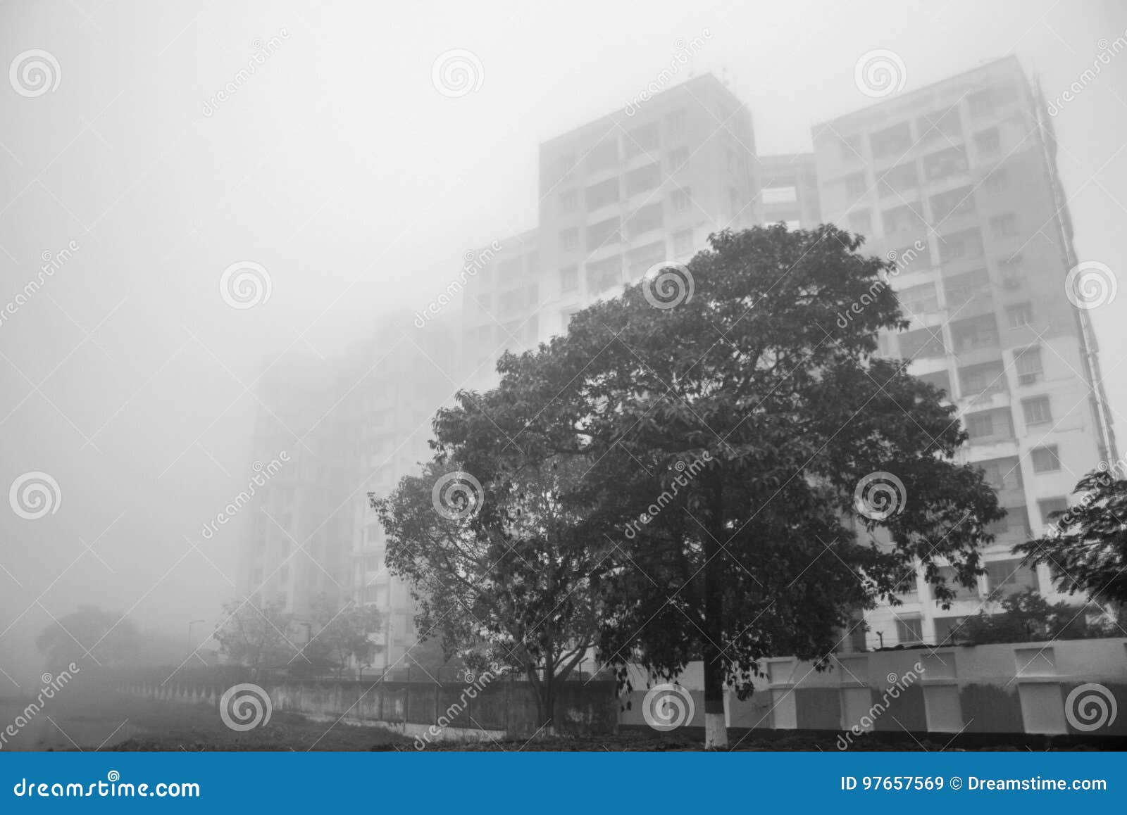 Foggy Good Morning stock image. Image of morning, stilllife - 97657569