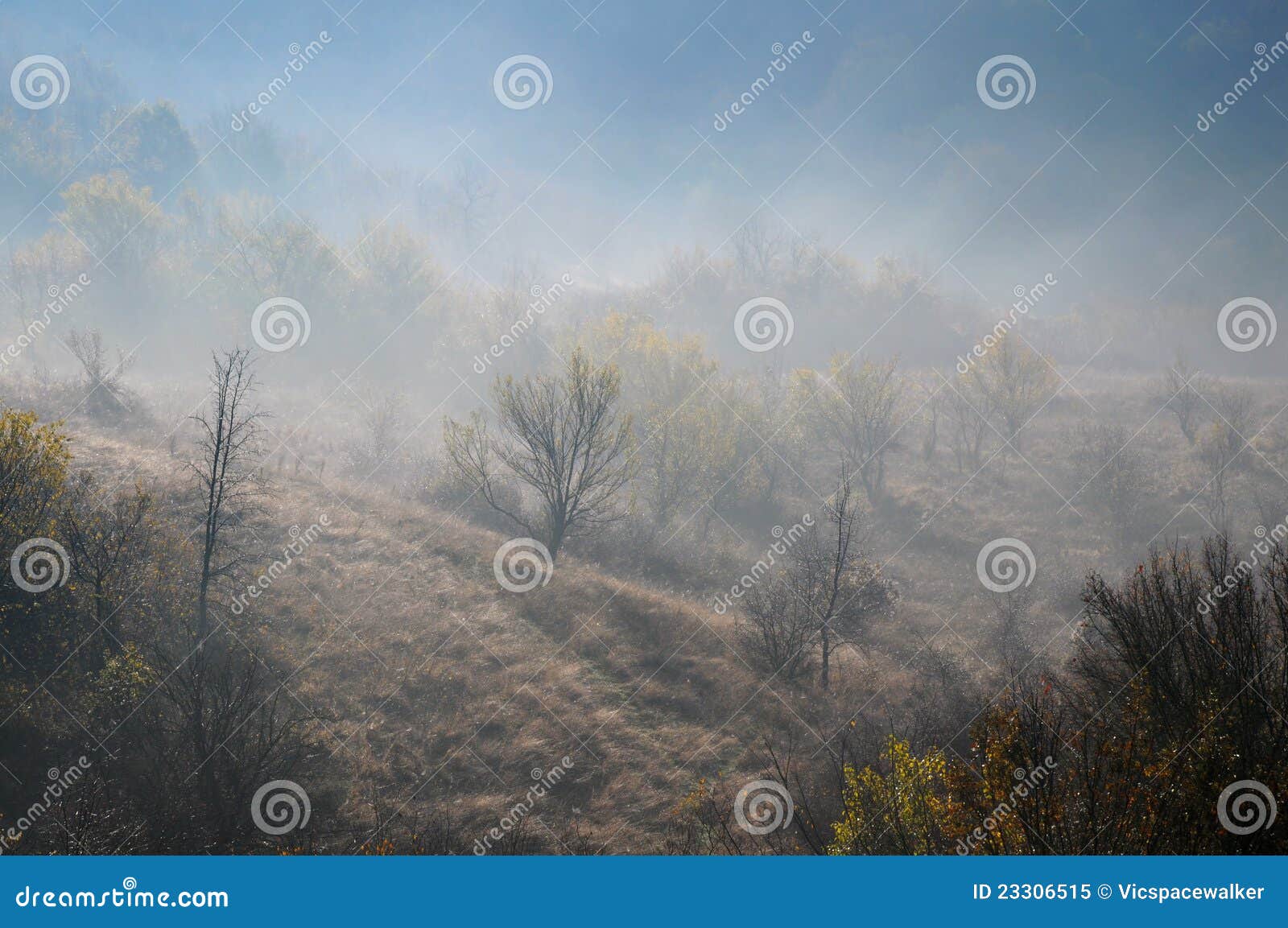 Foggy Hill Slope in the Late Fall Stock Image - Image of hills, foggy ...