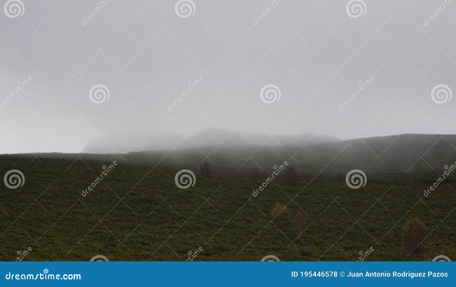 Foggy hill in autumn stock photo. Image of outdoors - 195446578