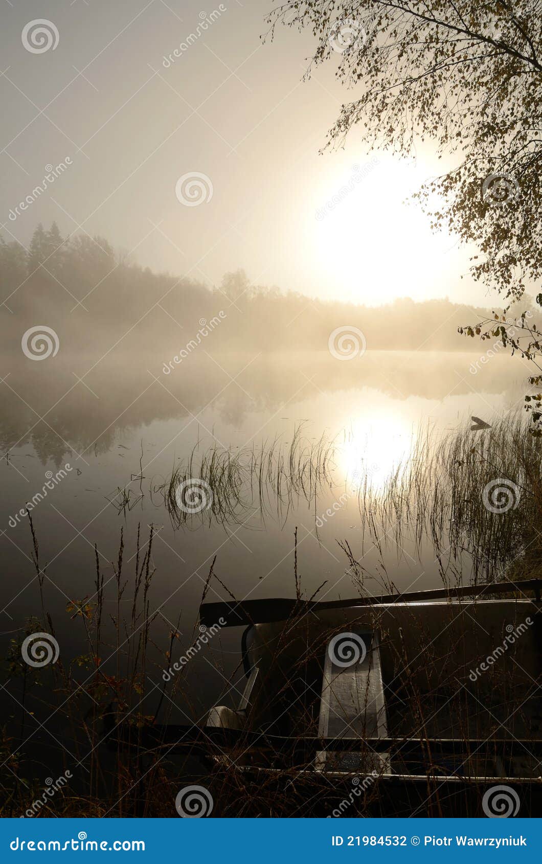 Foggy Lake S Vertical Landscape Stock Photo - Image of blue, autumn ...
