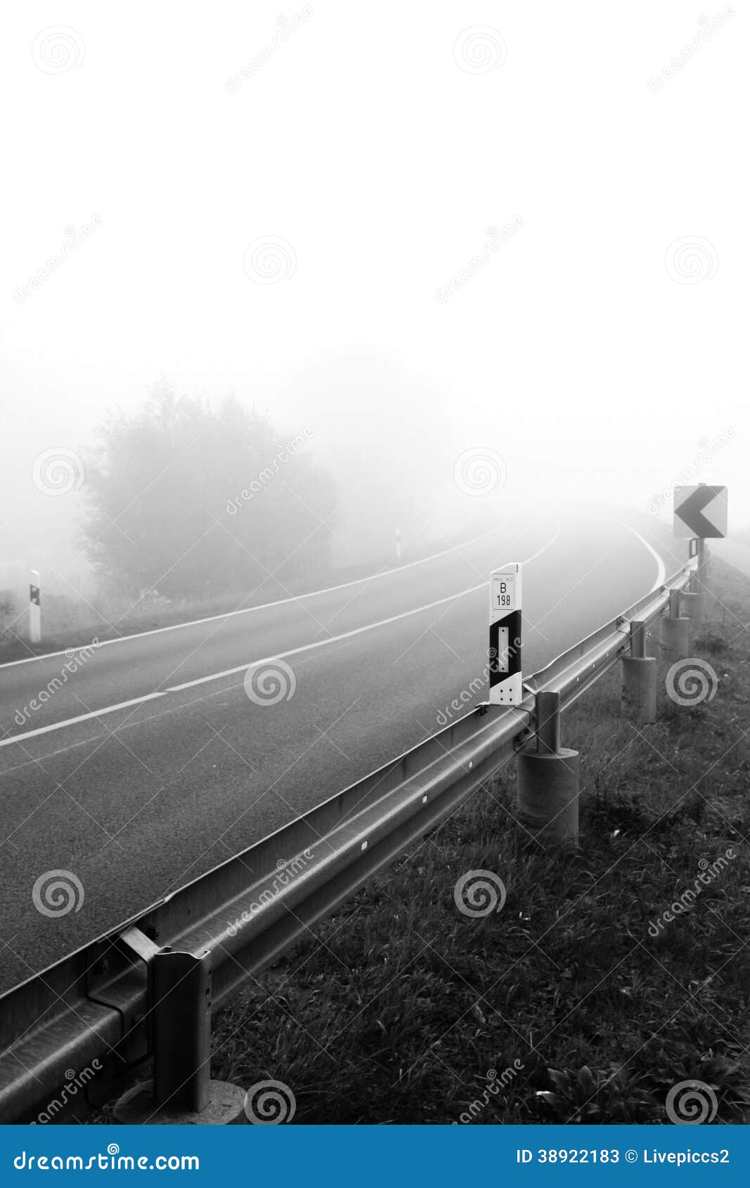Foggy land editorial stock photo. Image of trees, dark - 38922183