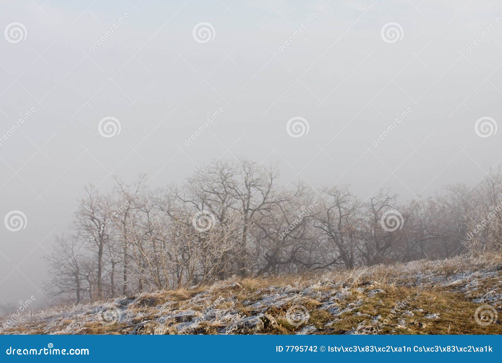 Foggy landscape stock photo. Image of hill, snow, park - 7795742