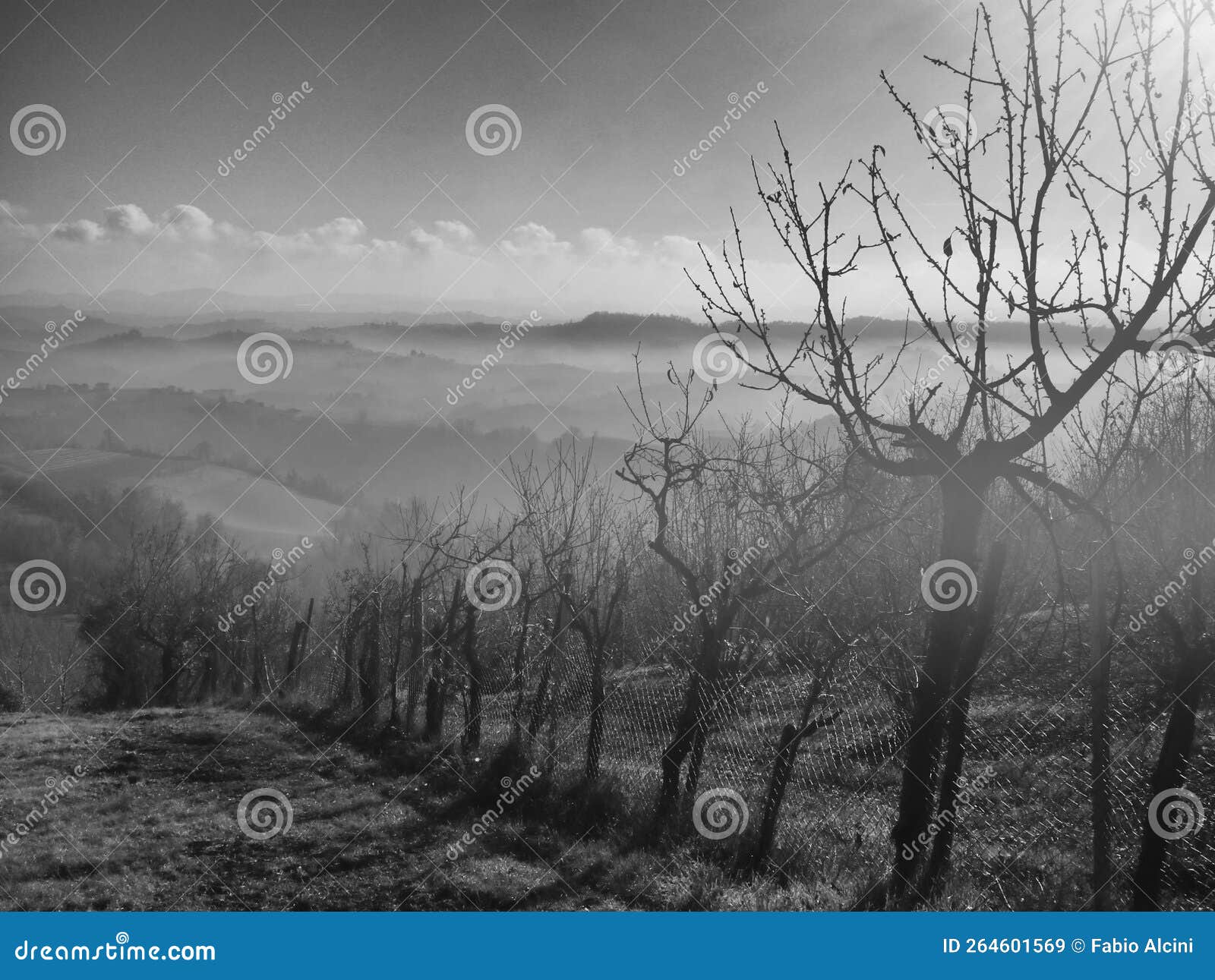Foggy Landscape of Hills and Trees Stock Image - Image of summer ...