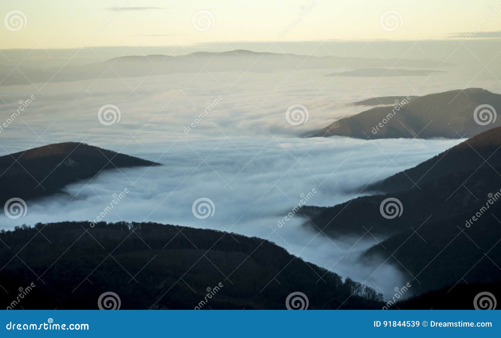 Foggy landscape in nature stock image. Image of landscape - 91844539