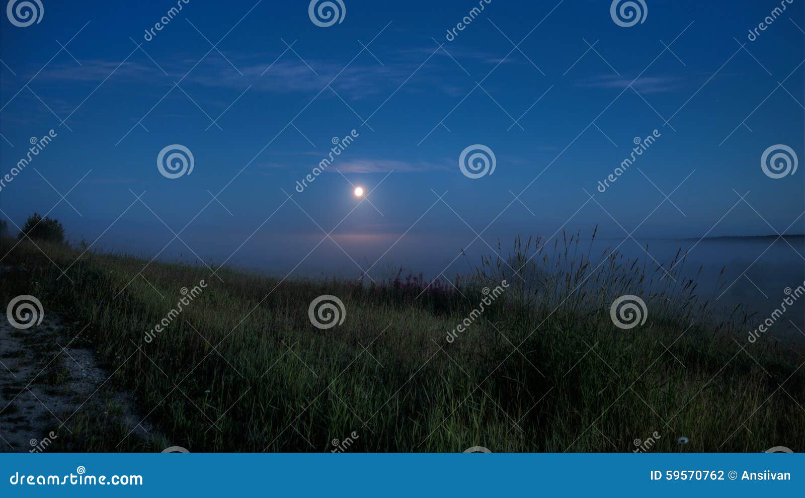 Foggy moonlight night. stock photo. Image of beauty, twilight - 59570762