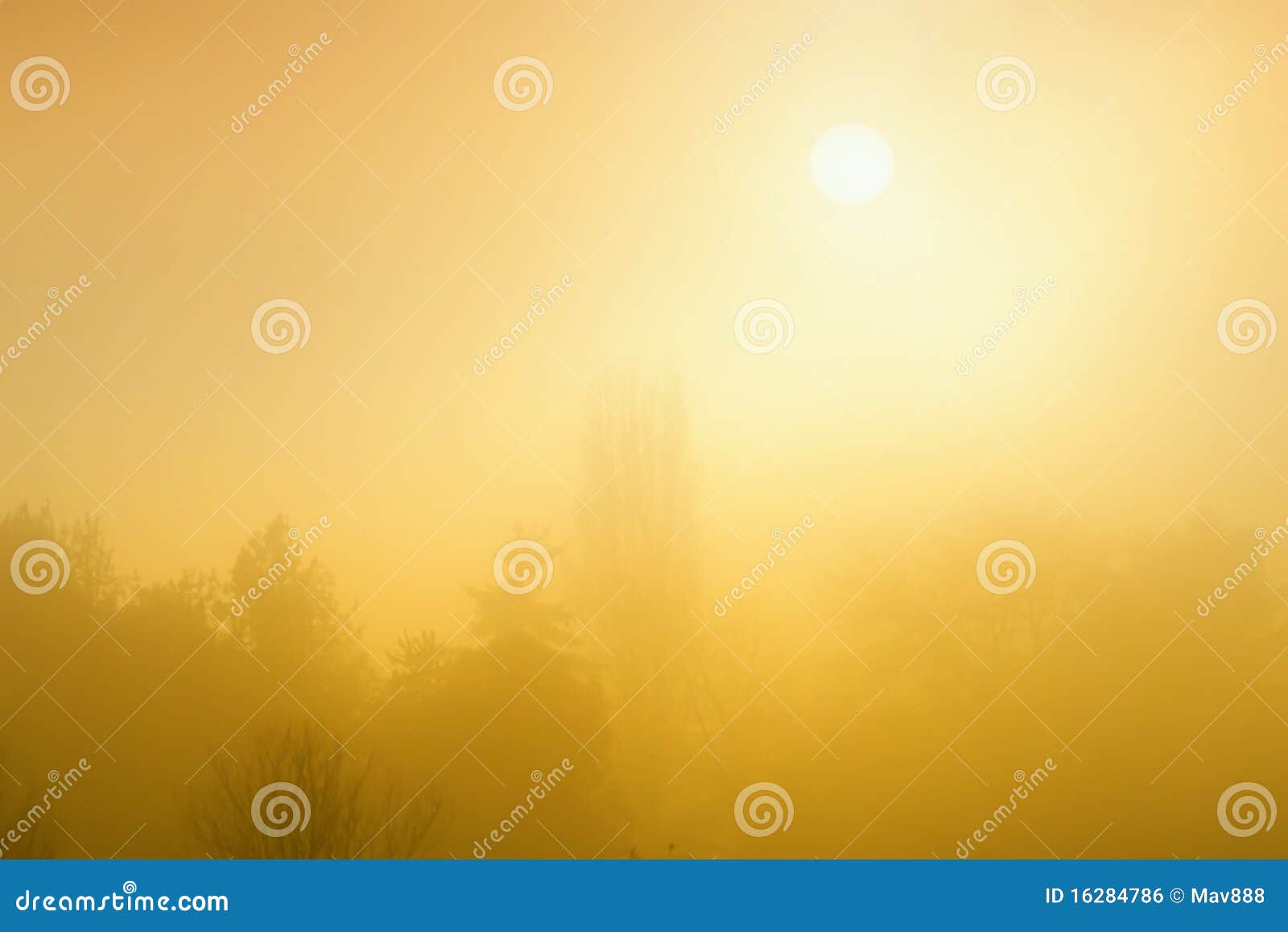 Foggy morning stock photo. Image of mist, foggy, season - 16284786