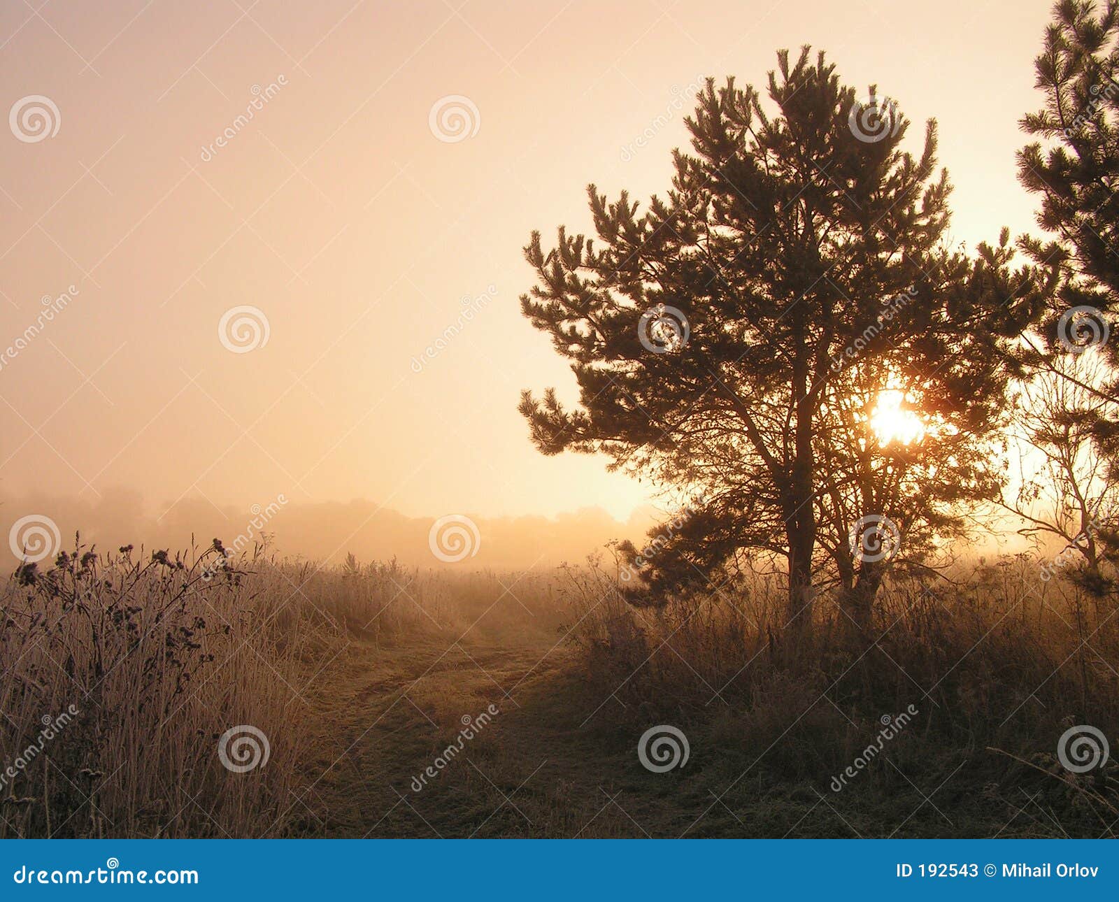 Foggy morning. stock image. Image of autumn, landscape - 192543