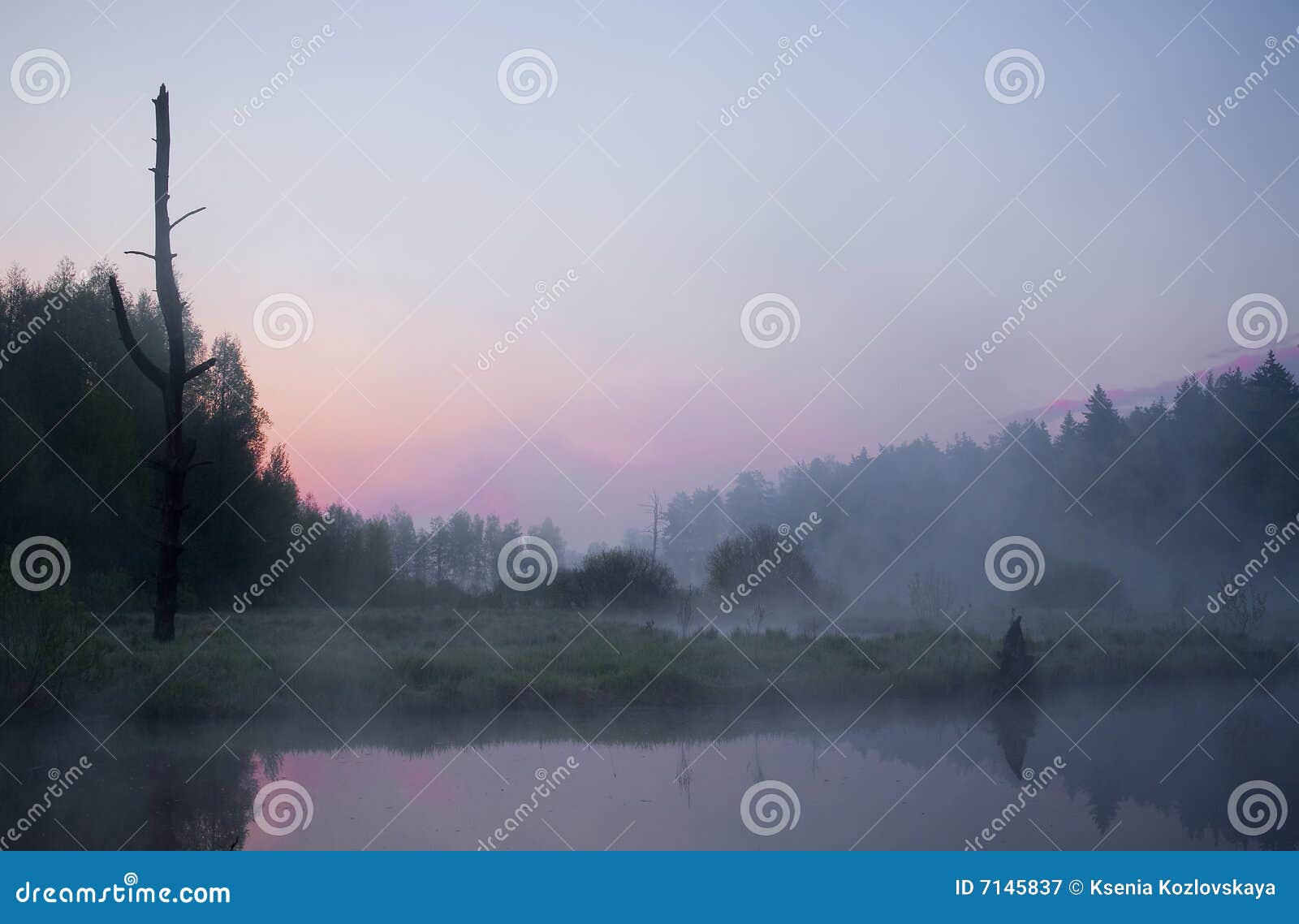 Foggy morning stock image. Image of reflection, deciduous - 7145837
