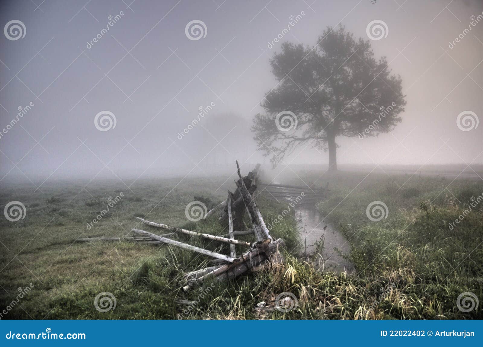 Foggy Morning in the Countryside Stock Photo - Image of countryside ...