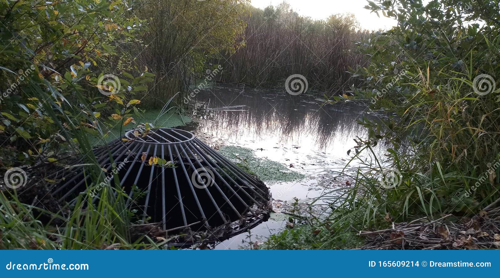 Foggy Morning Crisp Cold Air Silent Stock Photo - Image of foggy, cold ...