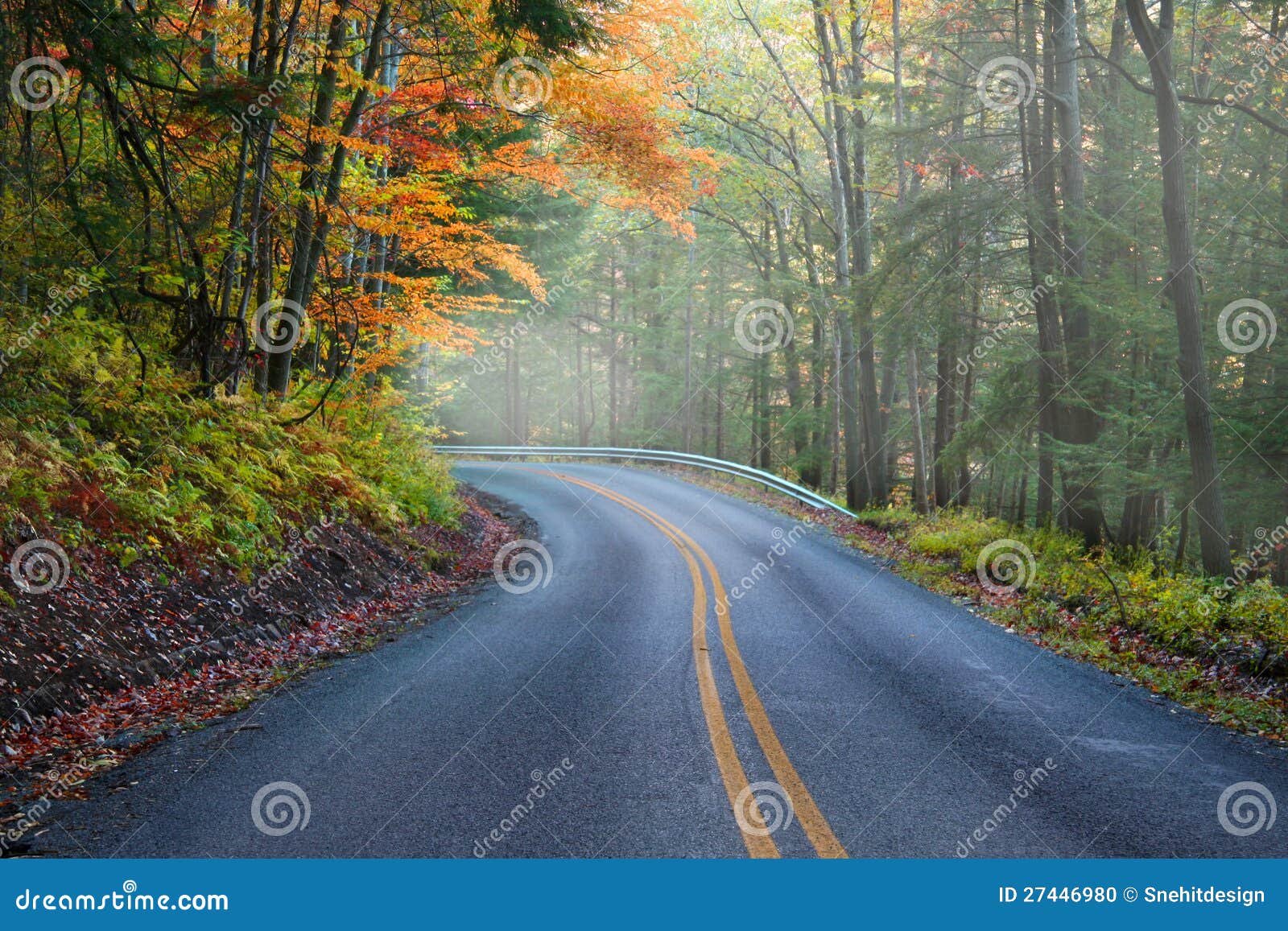 Foggy morning drive stock photo. Image of forest, colorful - 27446980
