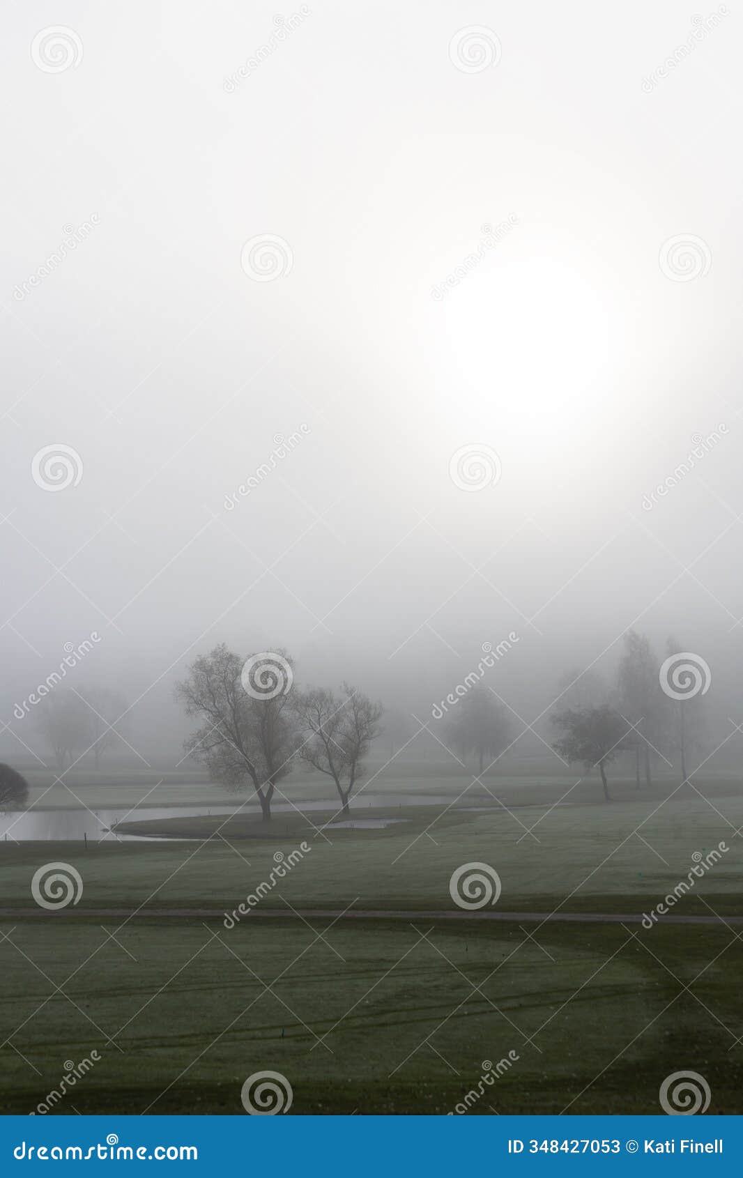 Foggy Morning in the Golfcourse Stock Image - Image of outdoor, meadow ...