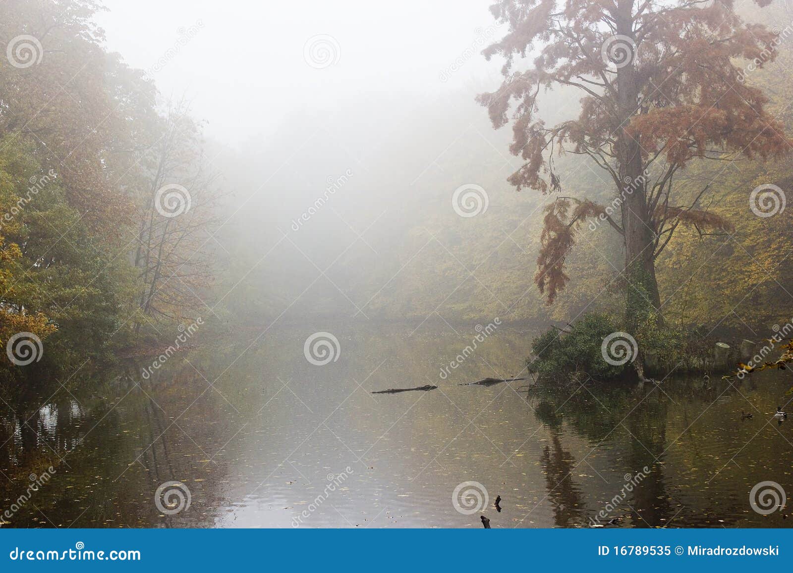 Foggy morning on the lake stock image. Image of island - 16789535
