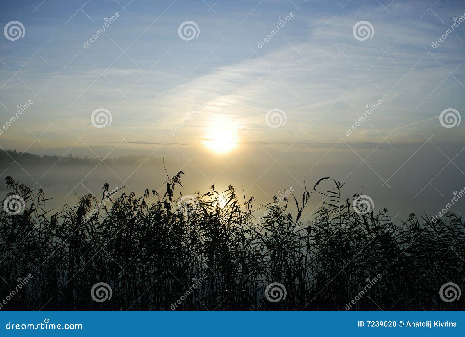 Foggy morning on lake stock photo. Image of sunrise, edge - 7239020