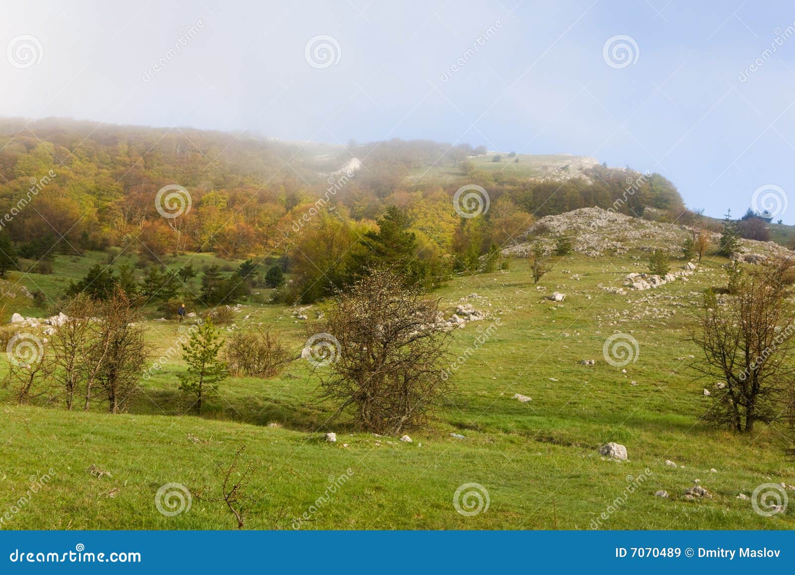 Foggy Morning on a Mountain Plateau Stock Image - Image of hill, cloud ...