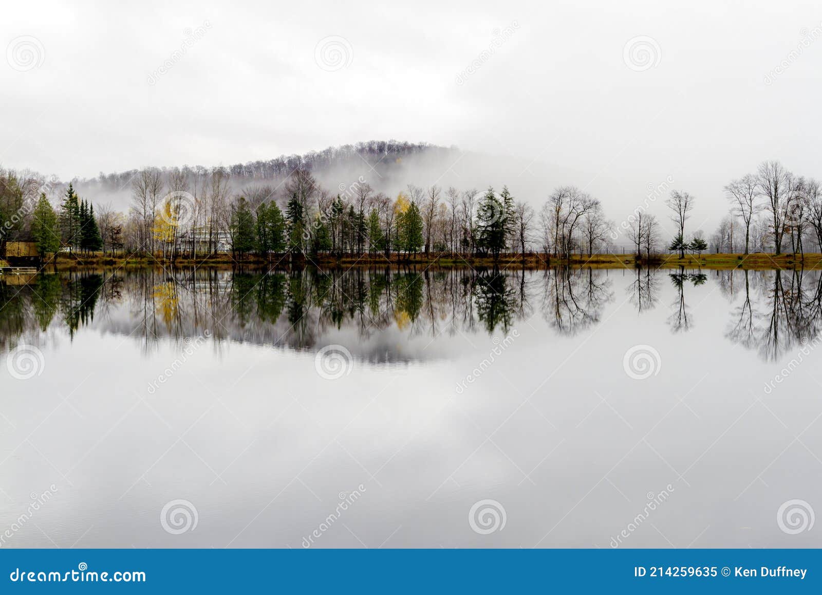 Foggy Morning Shoreline stock image. Image of mist, morning - 214259635