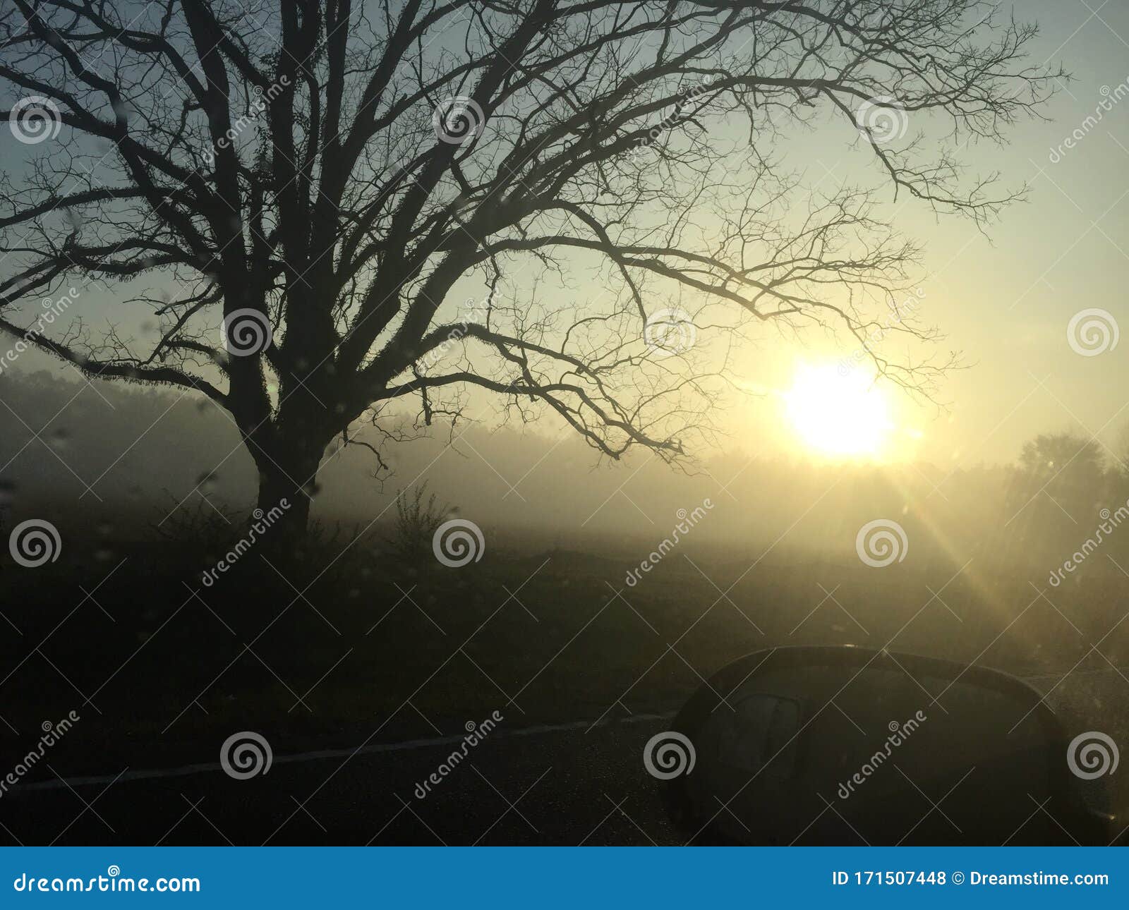 Foggy morning sunrise stock photo. Image of morning - 171507448