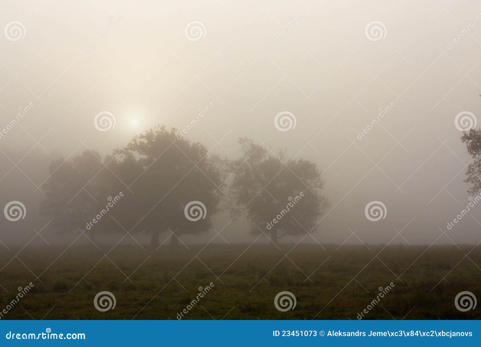 Foggy morning with tree stock image. Image of pasture - 23451073