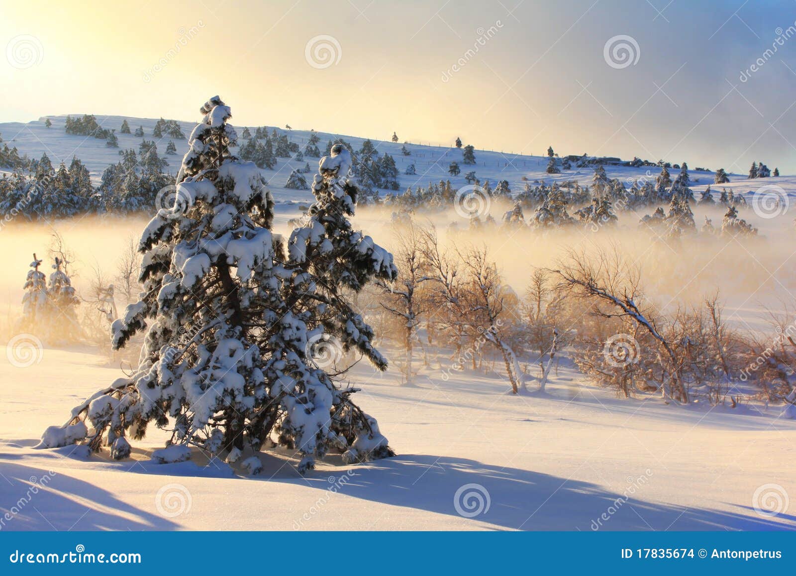 Foggy Morning in the Winter Stock Photo - Image of mysterious, hill ...