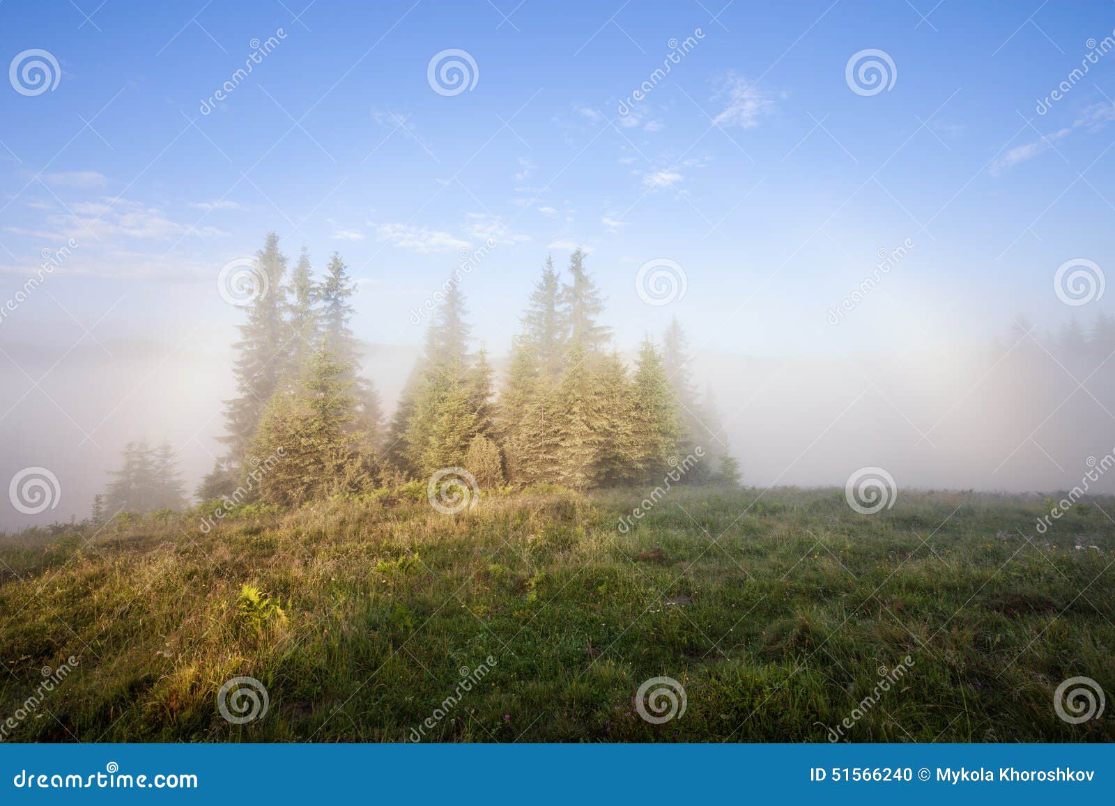 Foggy mountain morning stock photo. Image of ukraine - 51566240