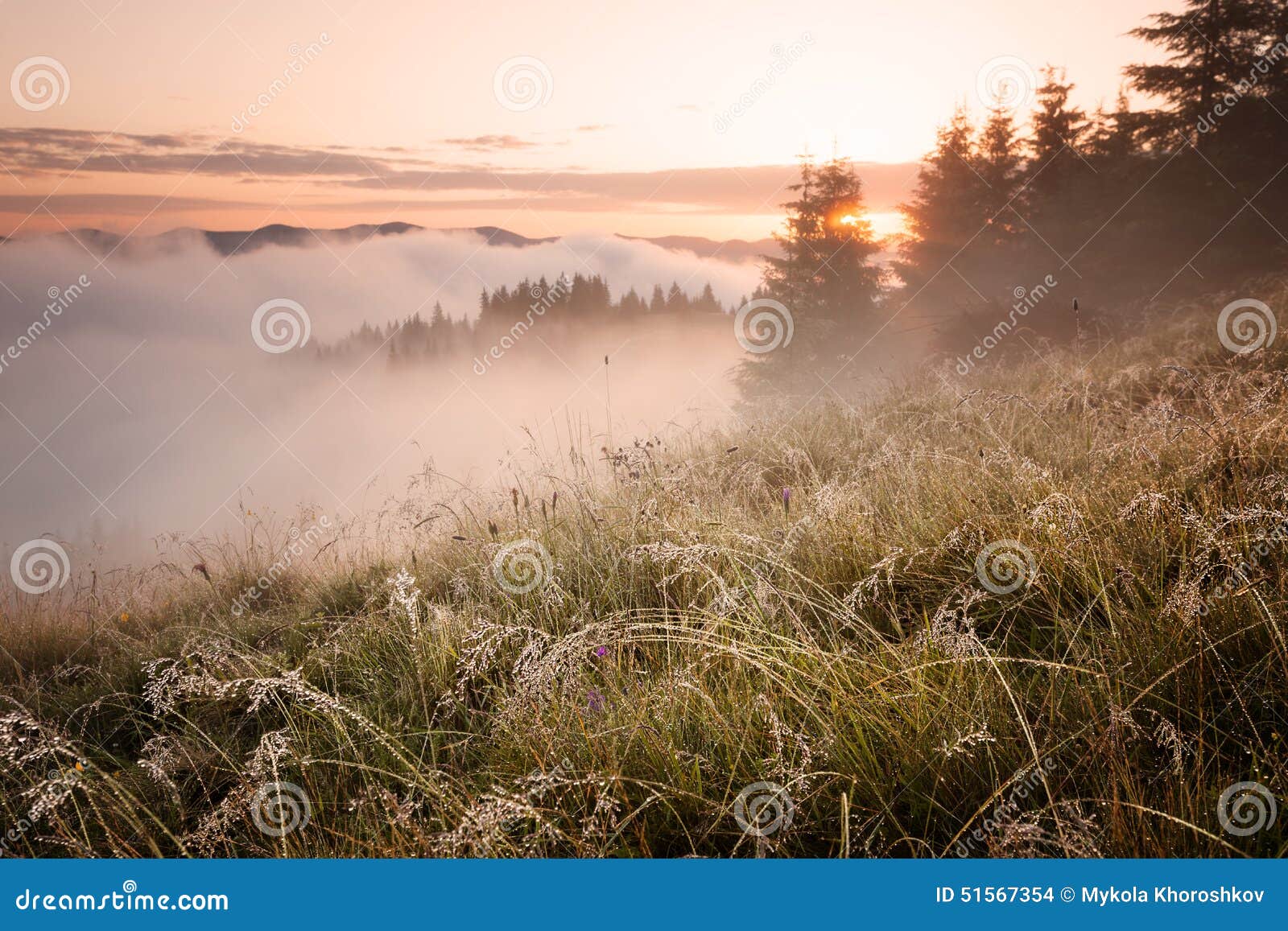 Foggy mountain morning stock photo. Image of tree, morning - 51567354