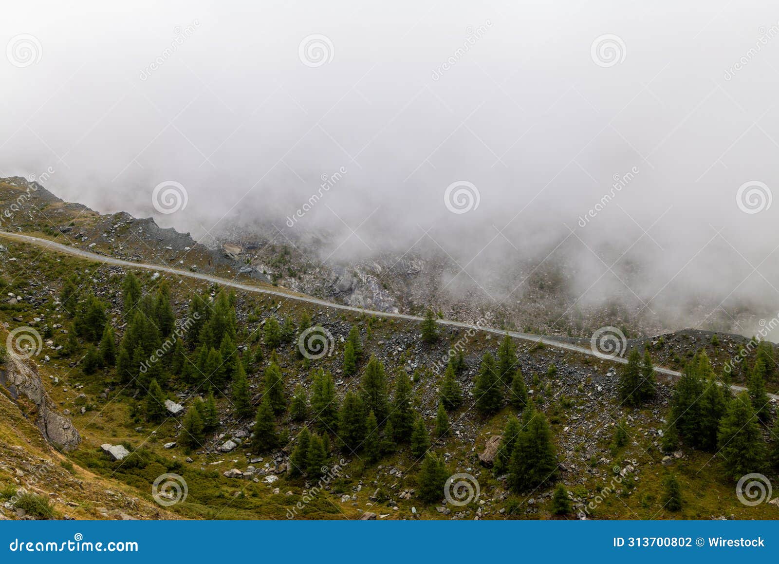 Foggy Mountain Path Winds through Trees Stock Photo - Image of mist ...