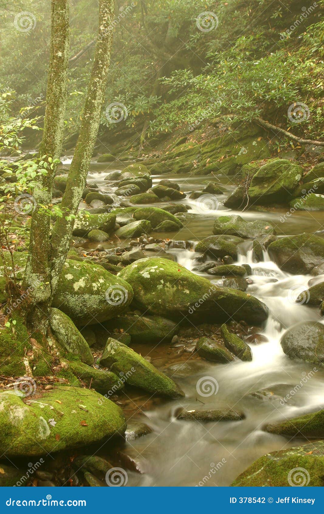 Foggy Mountain Stream stock photo. Image of foggy, park - 378542