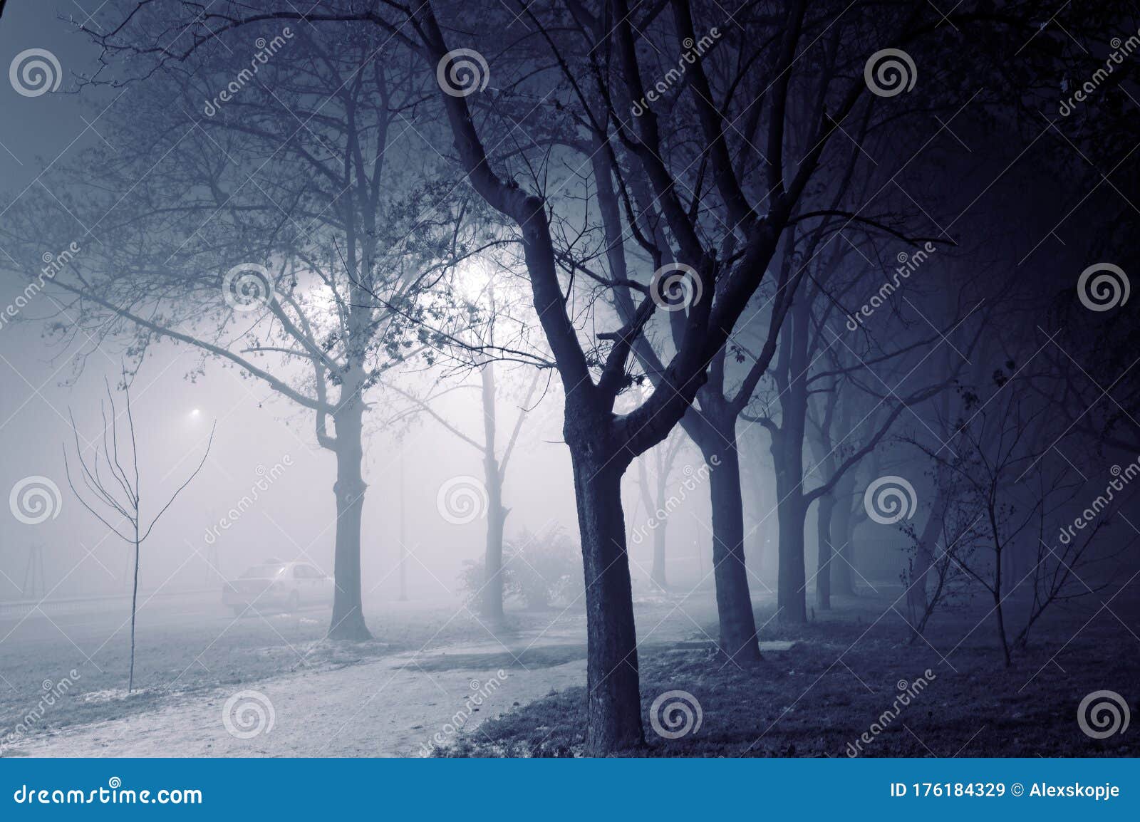 Foggy night stock image. Image of fantasy, blue, wallpaper - 176184329