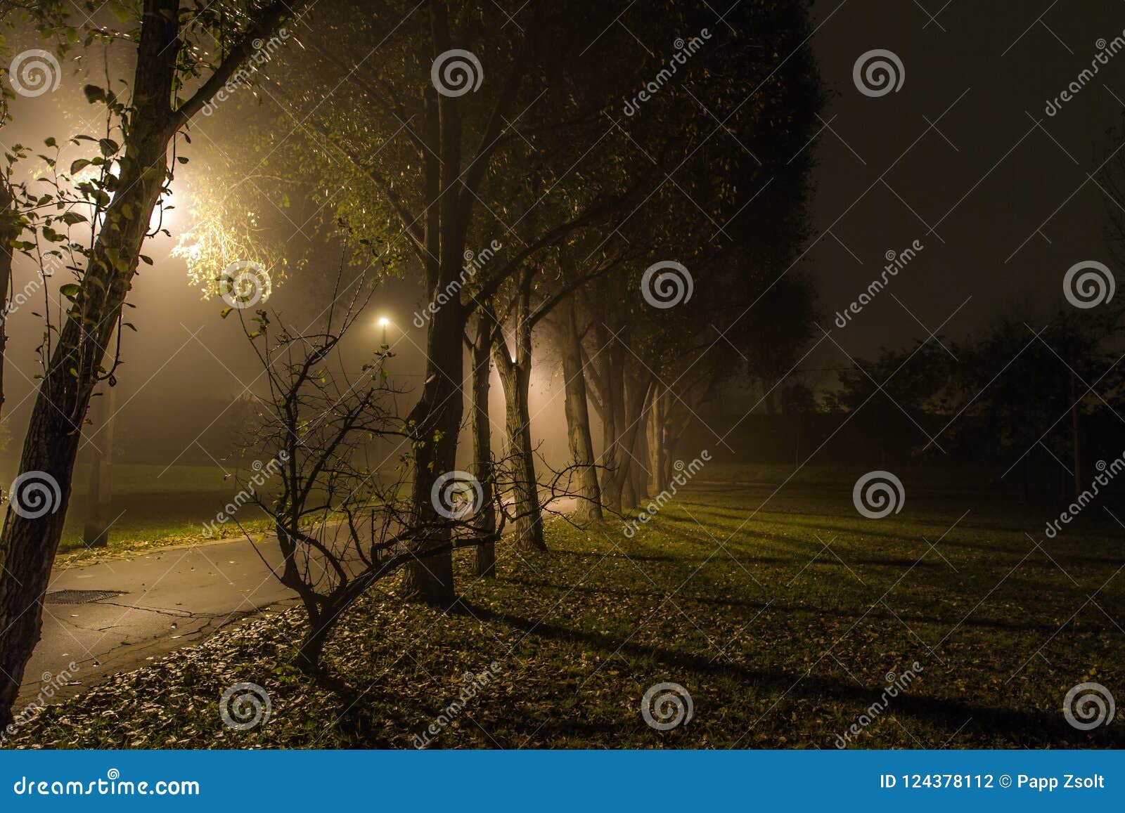 Foggy night stock photo. Image of scarry, autum, foggy - 124378112