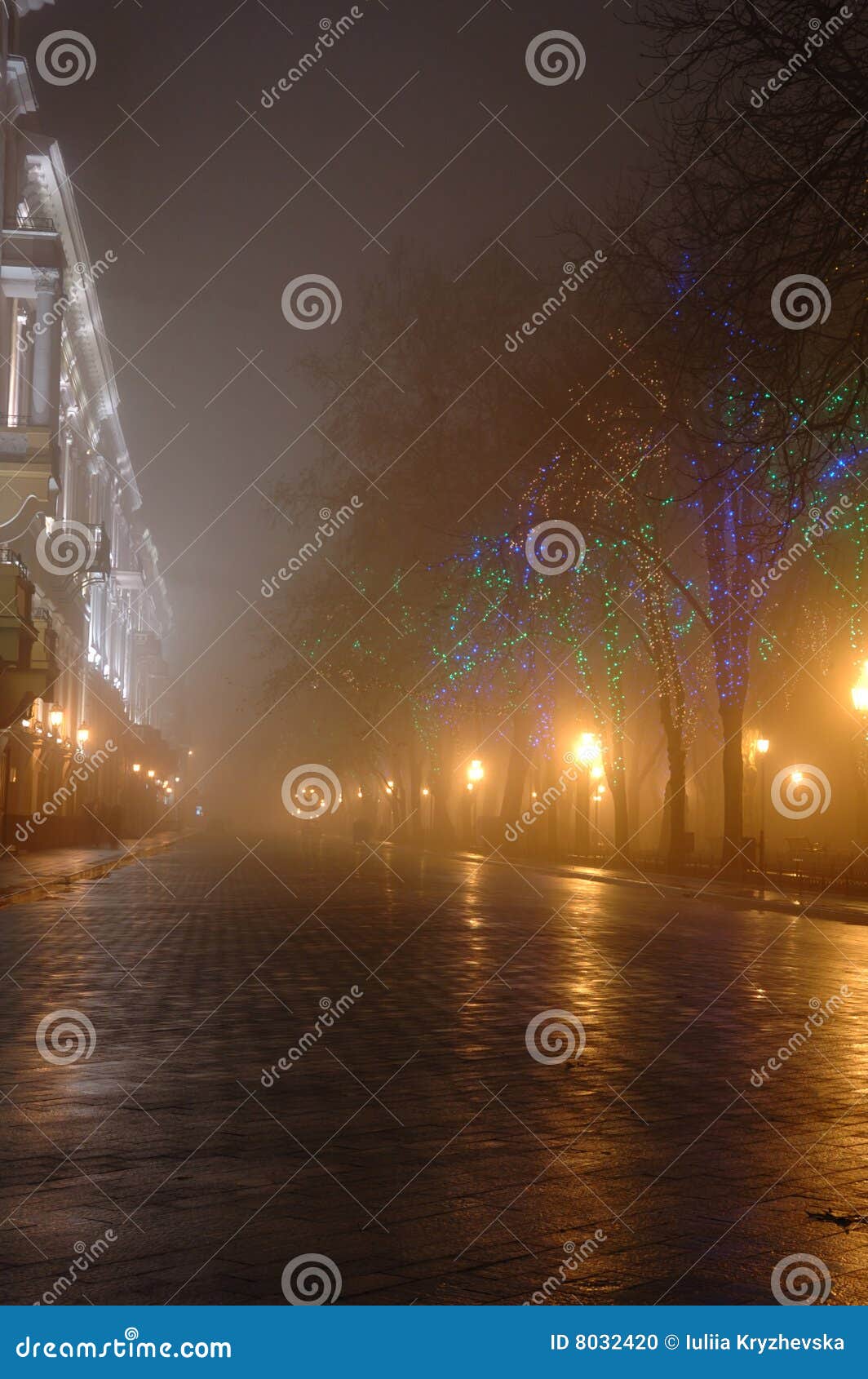 Foggy Night In The Big City, The Empty Street Lighting Lanterns. Close ...