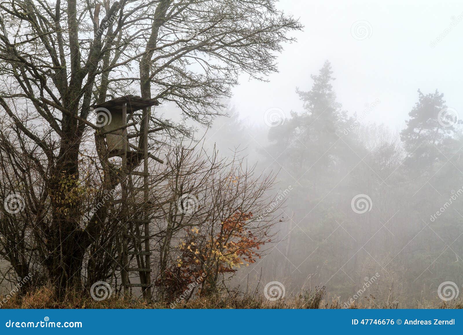 Foggy november landscape stock photo. Image of hiking - 47746676