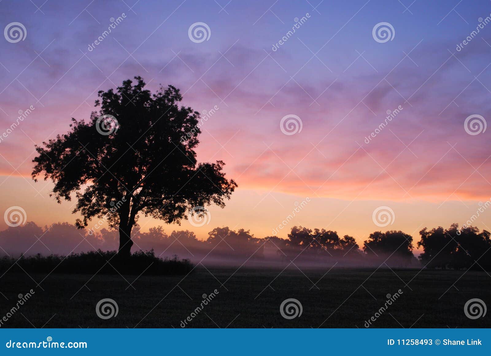 Foggy Oklahoma Sunrise stock image. Image of outdoors - 11258493