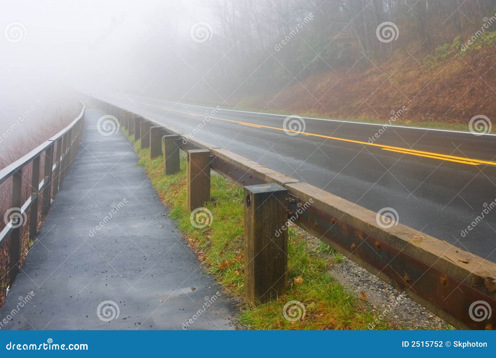 Foggy road stock photo. Image of light, smoke, rain, mystic - 2515752