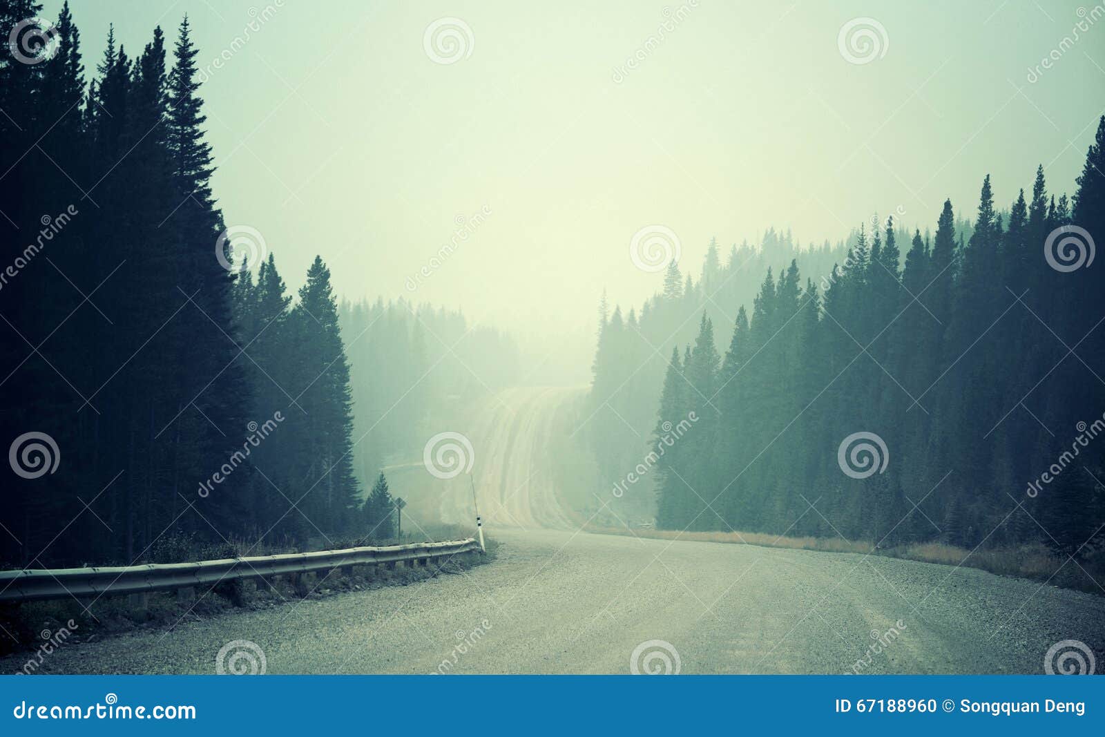 Foggy road stock photo. Image of misty, mist, panoramic - 67188960