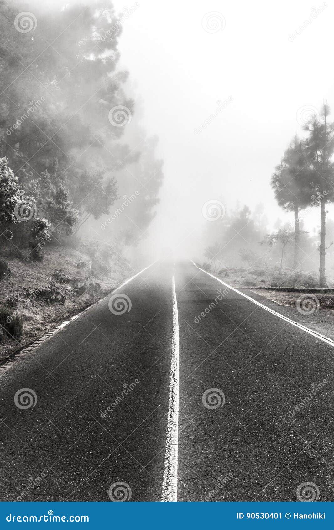 Foggy Road in Forest , Trees and Highway in Fog Stock Image - Image of ...