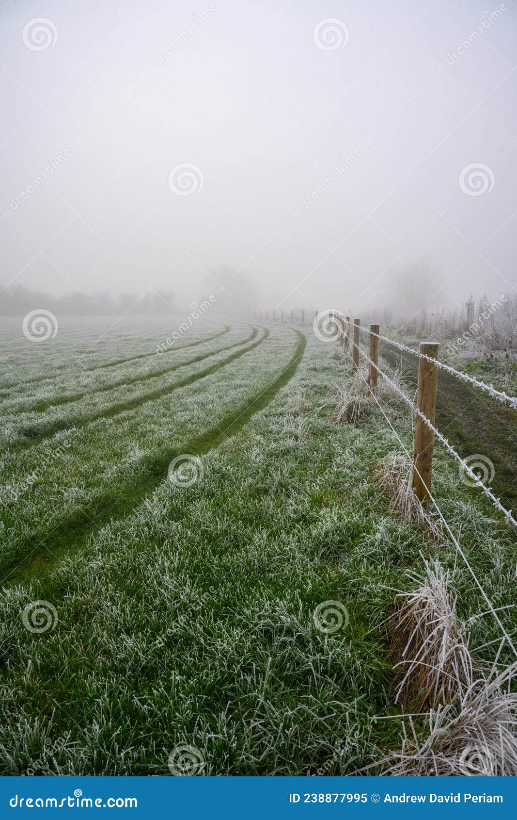 Foggy Rural Pathway through Fields Stock Image - Image of idyllic ...