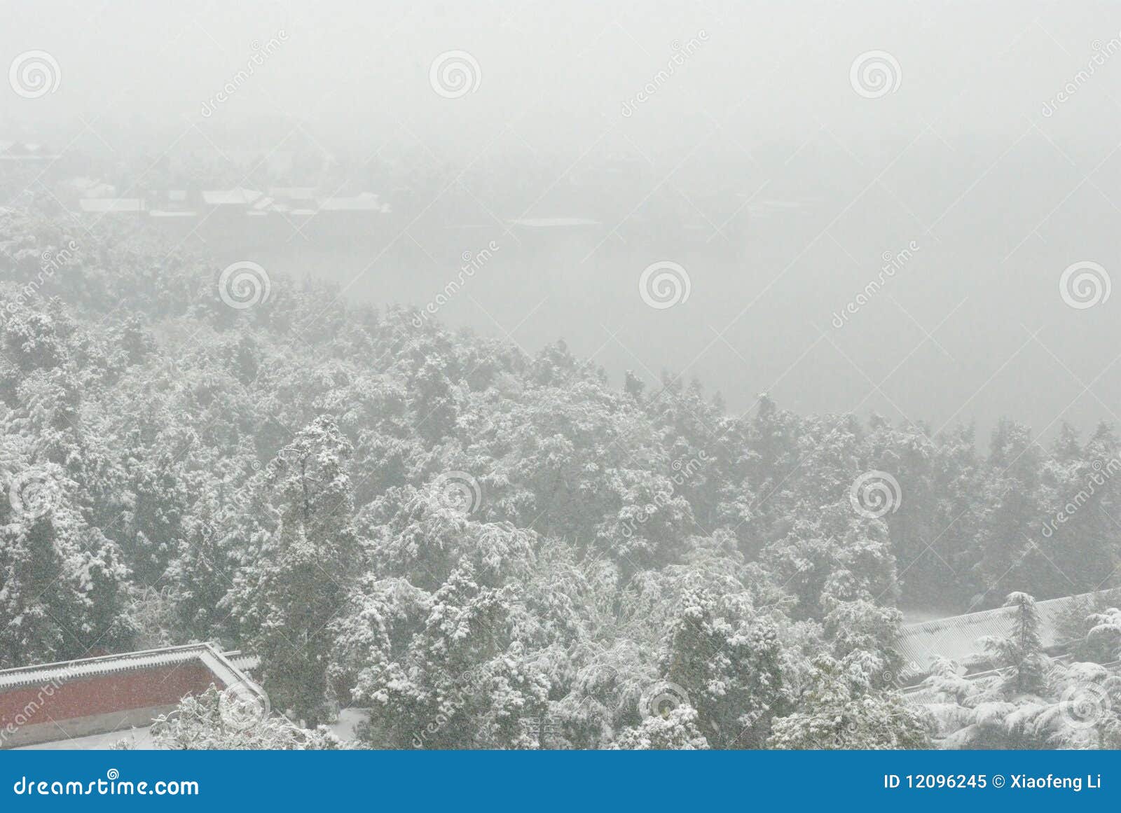 Foggy Snow Landscape stock image. Image of pine, line - 12096245